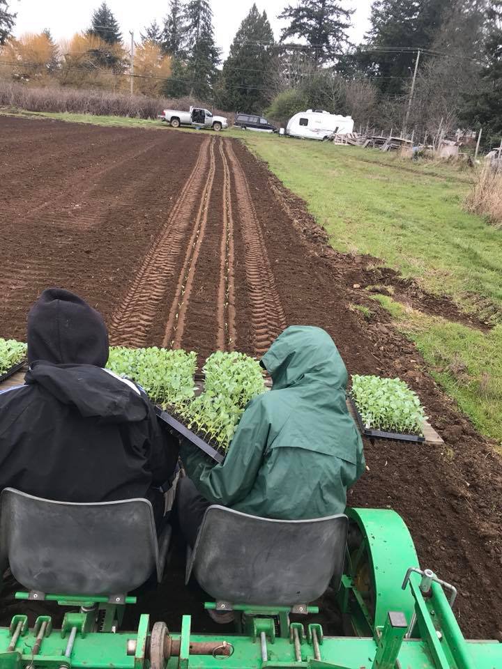 Dan's Farm and Country Market