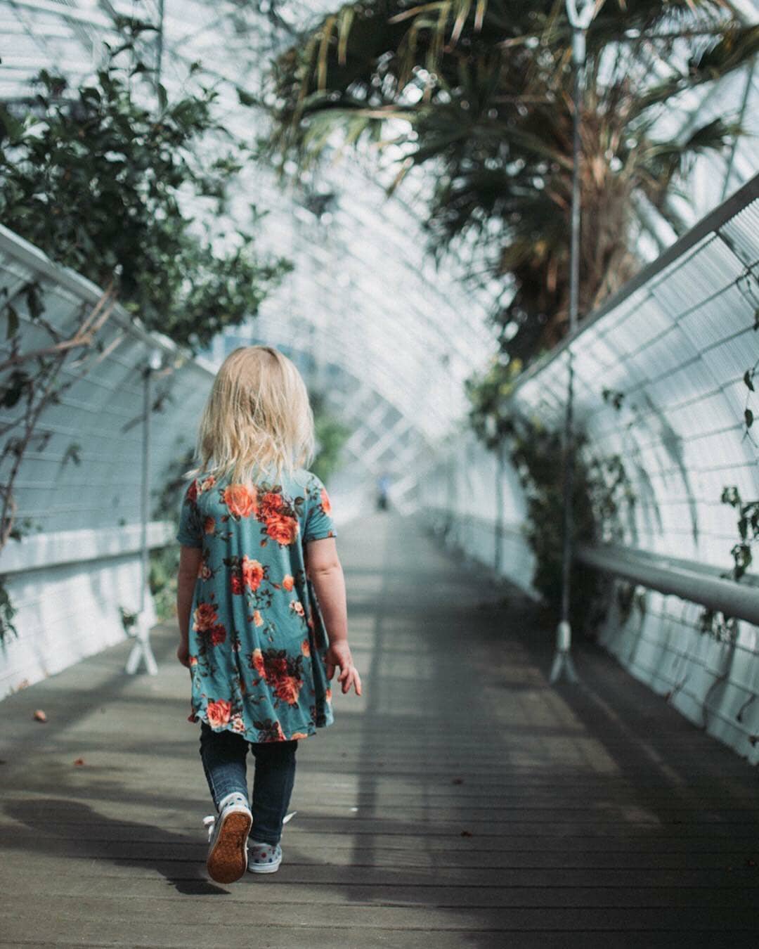 Myriad Botanical Gardens & Crystal Bridge Tropical Conservatory