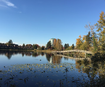Mill Lake Park