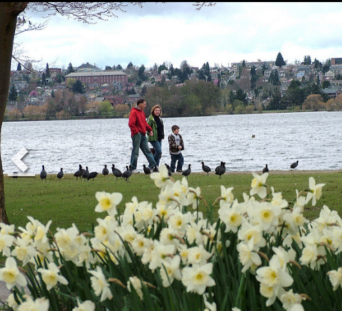 Green Lake Park Wading Pool
