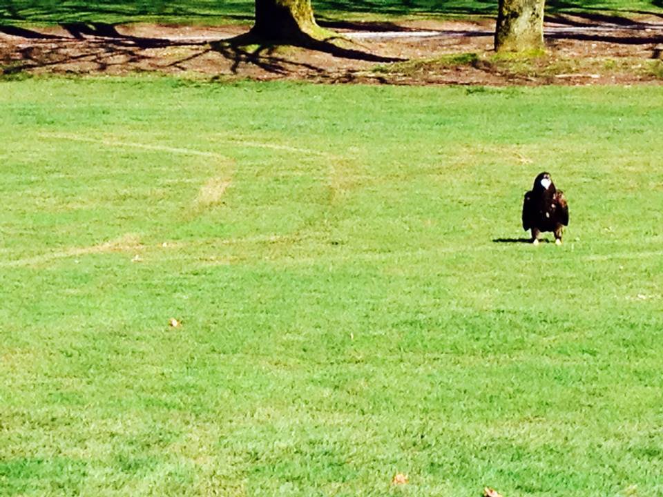Jefferson Park Golf Course