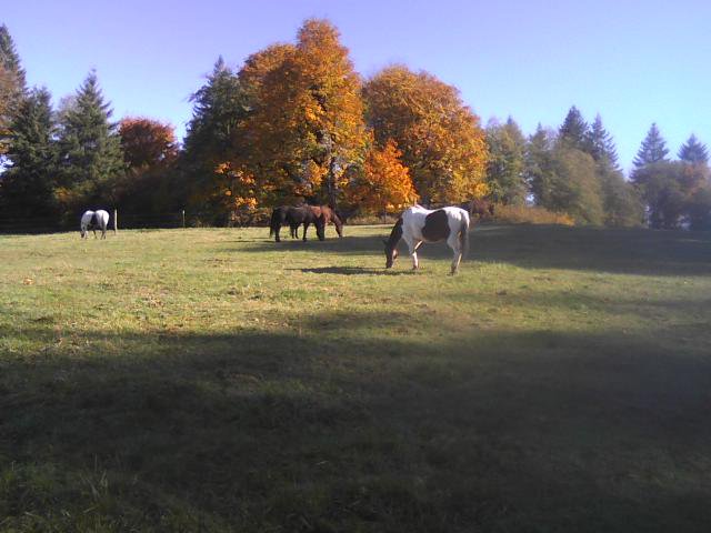 Royal Ridges Retreat