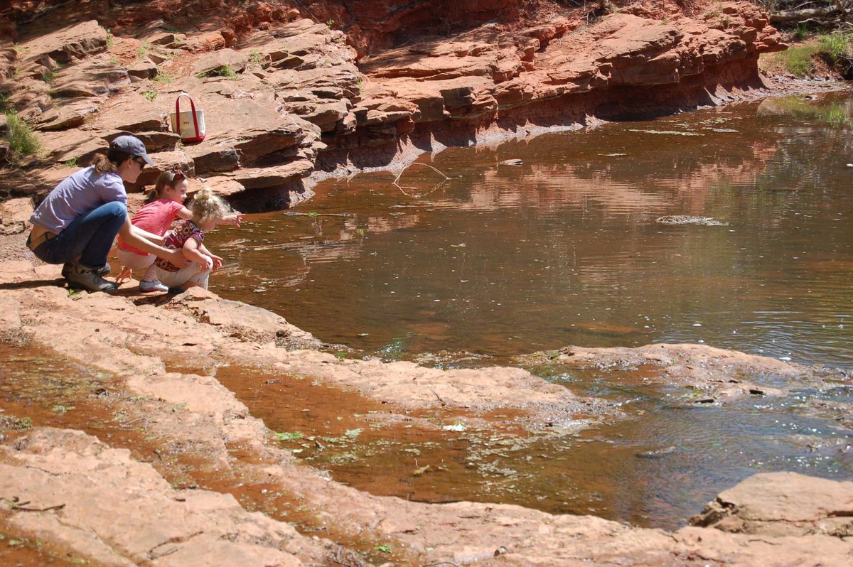 Martin Park Nature Center