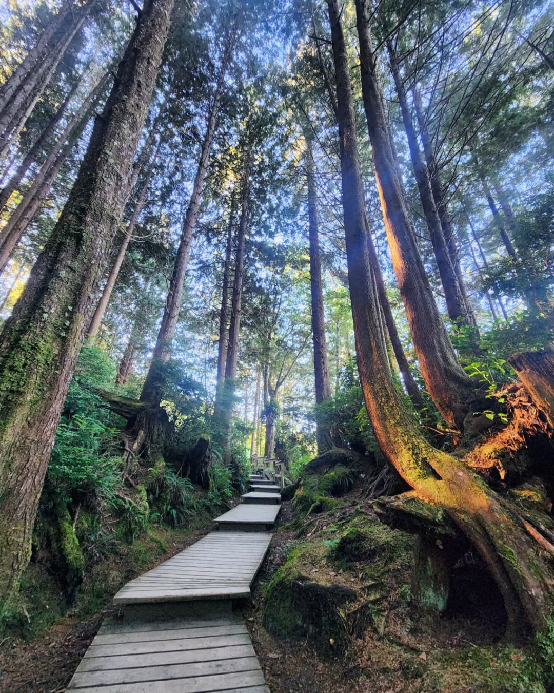 Crystal Cove Beach Resort