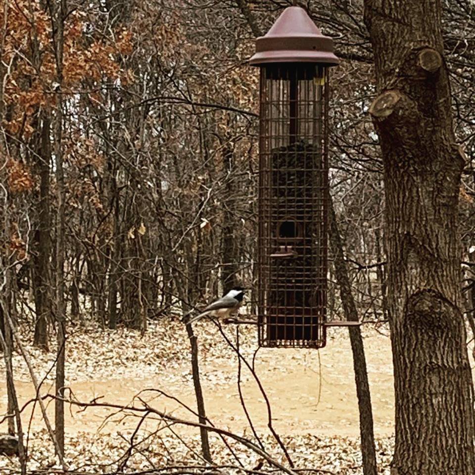 Martin Park Nature Center