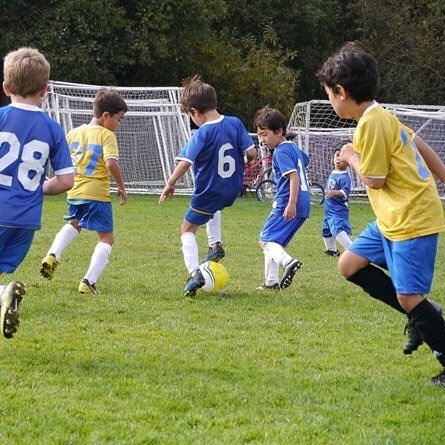 Albany Berkeley Soccer Club