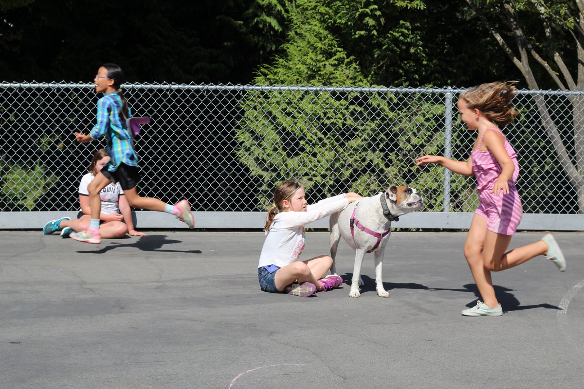 BC SPCA Humane Education