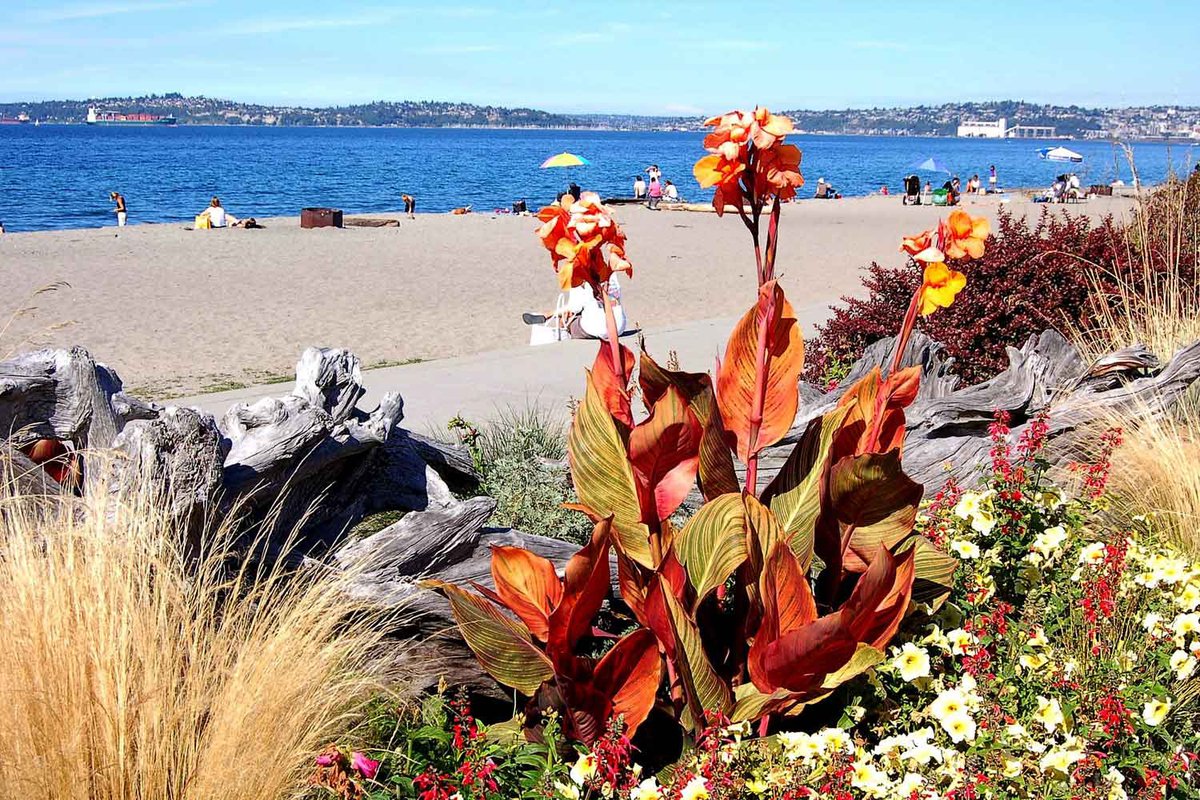 Alki Beach Park