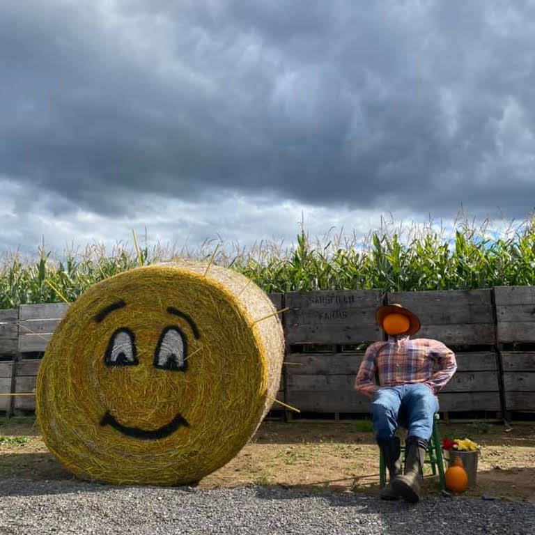Windsor Corn Maze