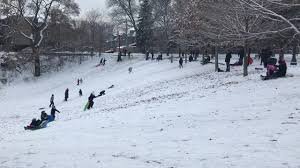 Trinity Bellwoods Park