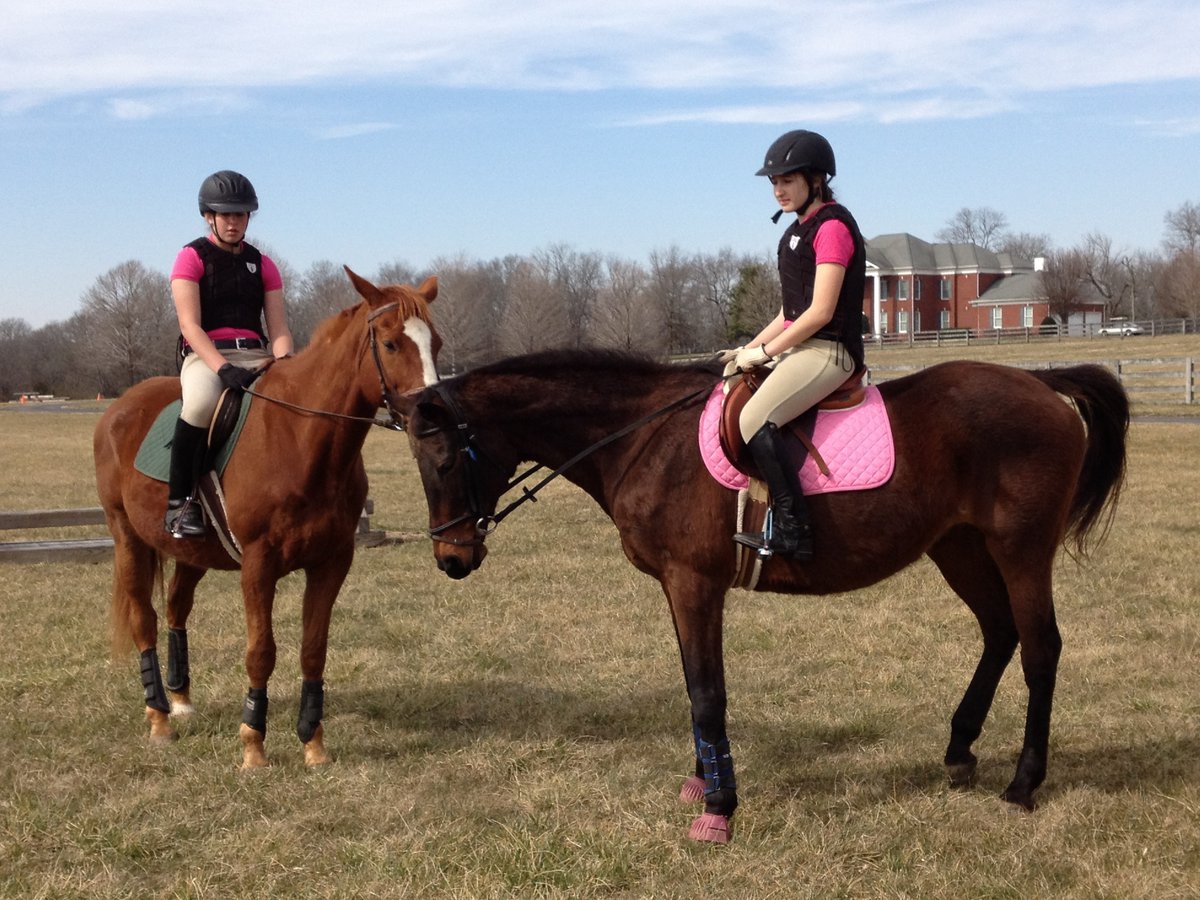 Creekside Riding Academy & Stables