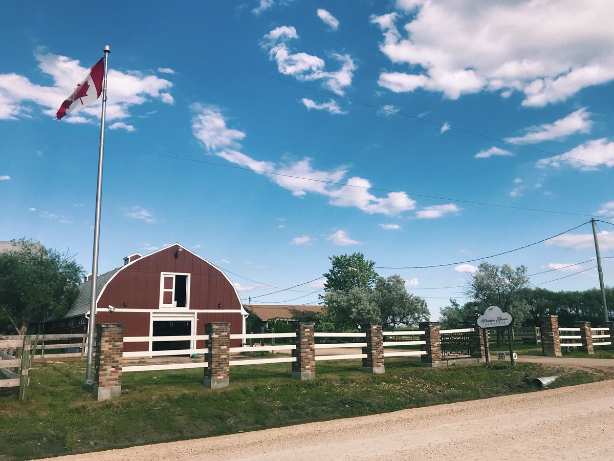 Meadow Green Stables
