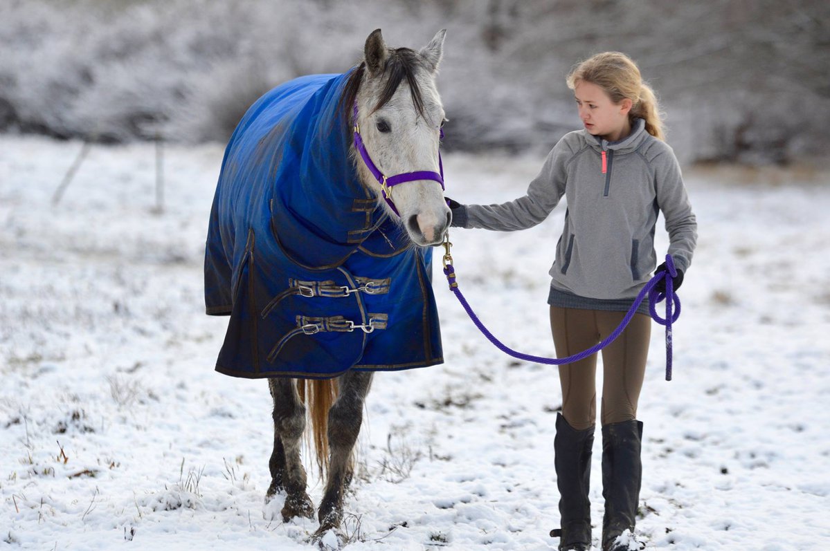 Cougar Mountain Stables