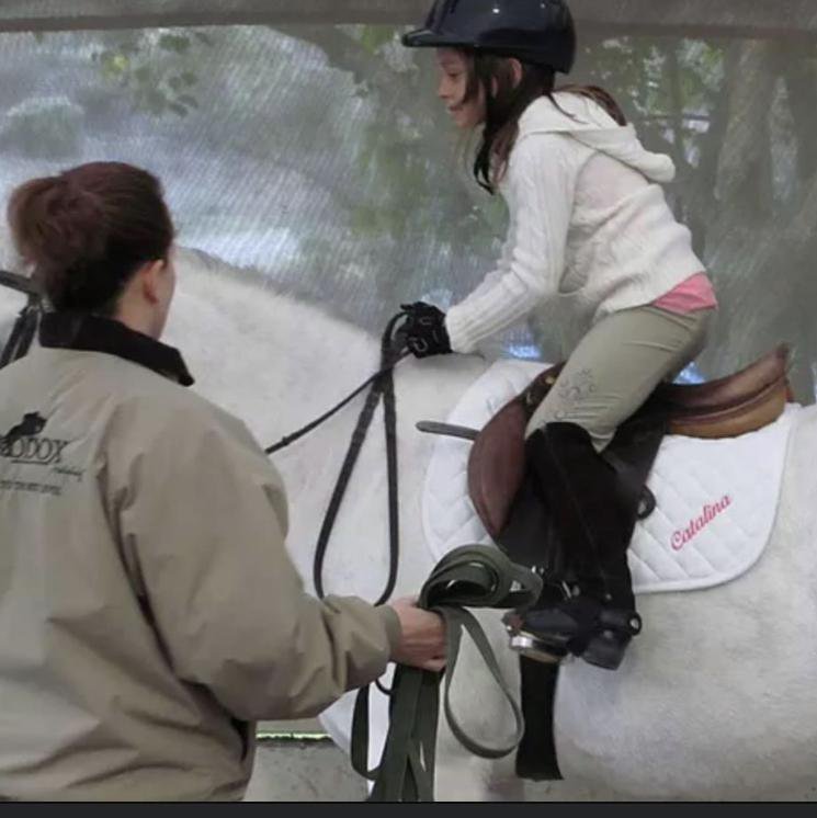 Kelly Maddox Training, INC