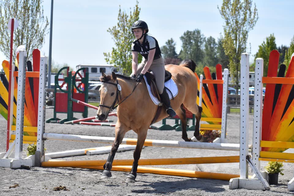 Cougar Mountain Stables