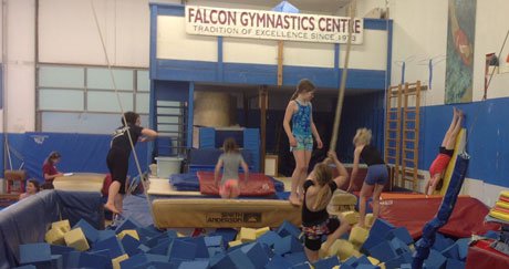 Falcon Gymnastics Centre