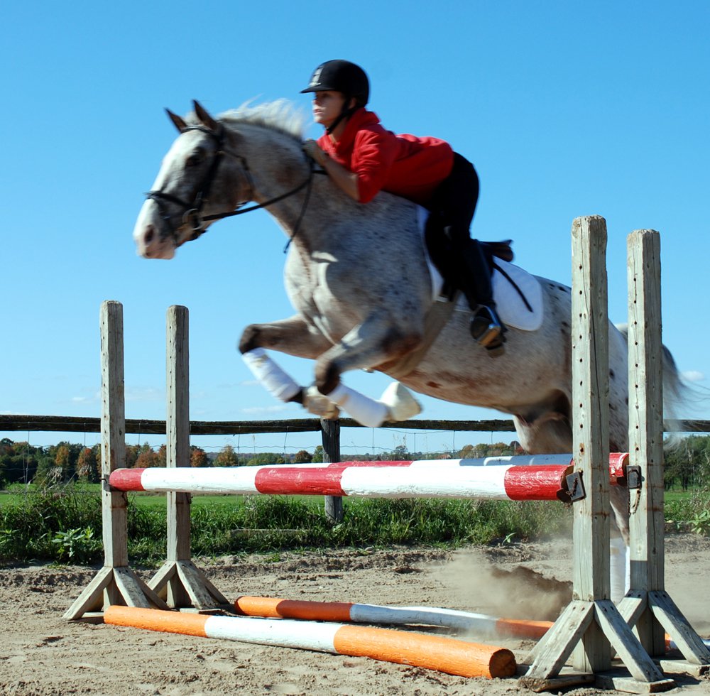 Whitchurch Riding Academy