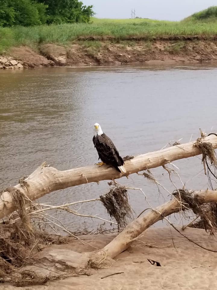 Extreme Camp at Honey Lee Ranch