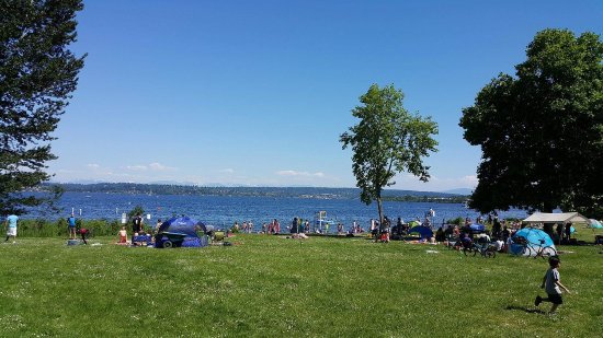 Madrona Park