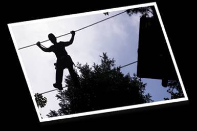 Trinity Forest Adventure Park