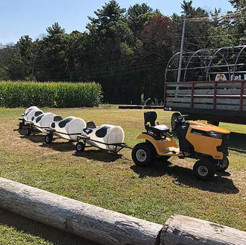 Marini Farm Corn Maze