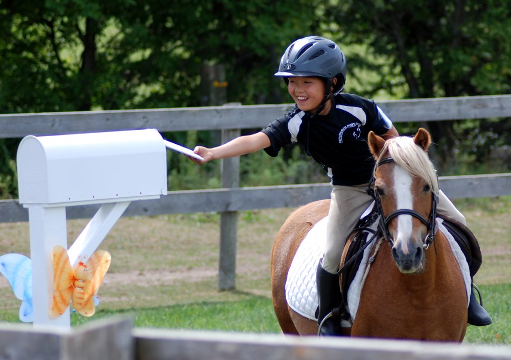 Whitchurch Riding Academy