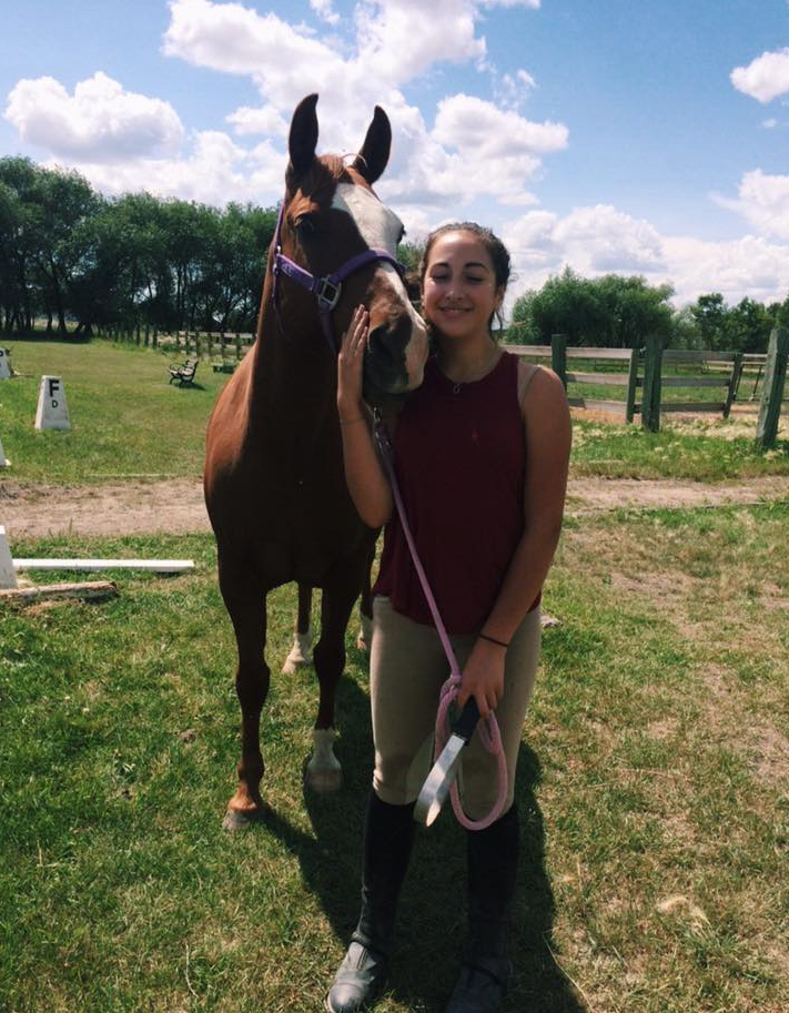 Meadow Green Stables