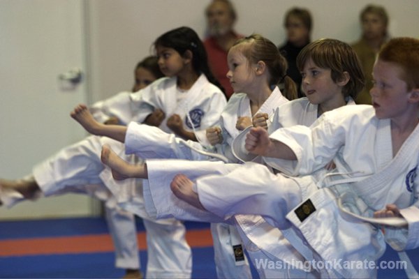 Washington Karate