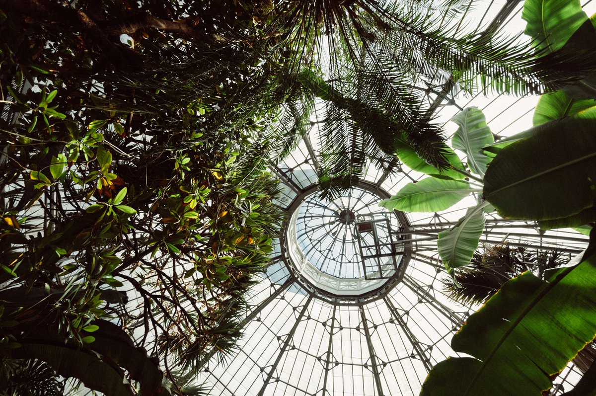 Allan Gardens Park and Conservatory