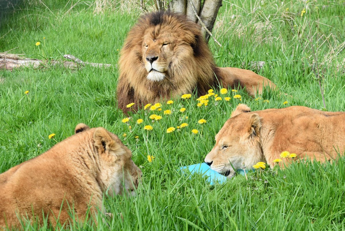 Greater Vancouver Zoo