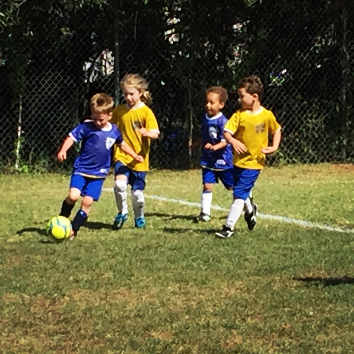 Albany Berkeley Soccer Club