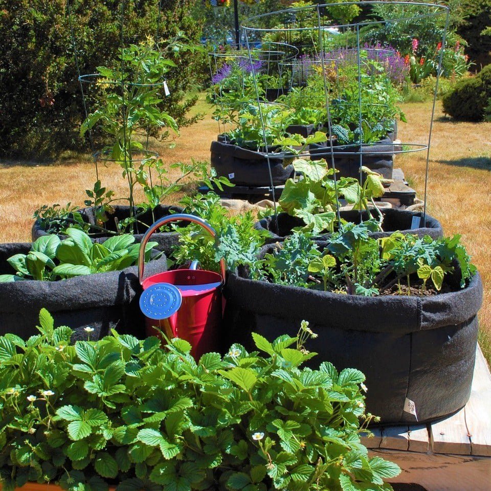 James Bay Community Project