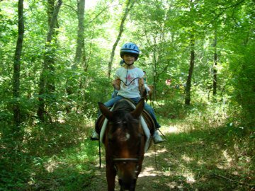 Creekside Riding Academy & Stables