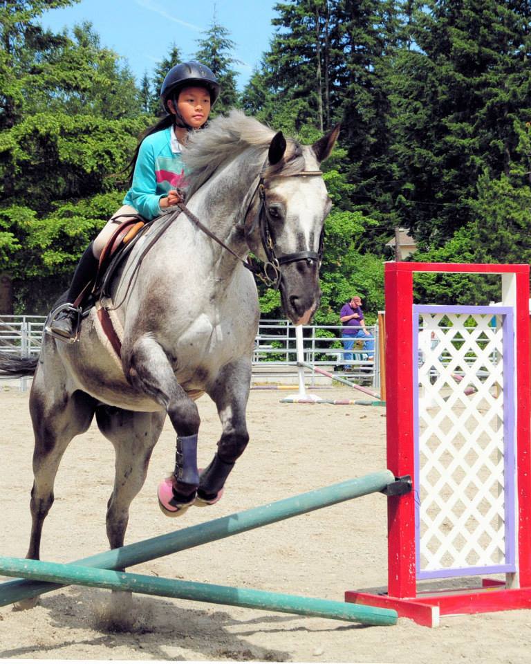 Cougar Mountain Stables