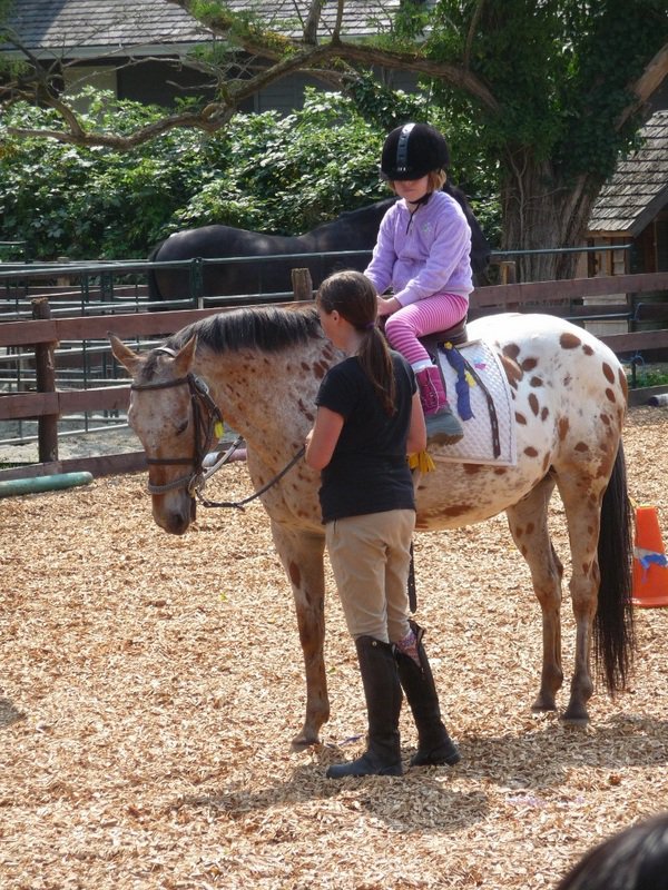 Southlands Heritage Farm