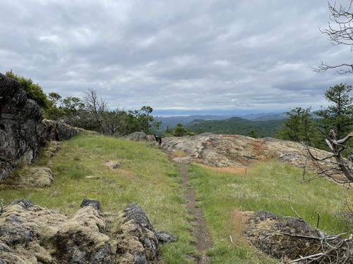 Mt Work Regional Park