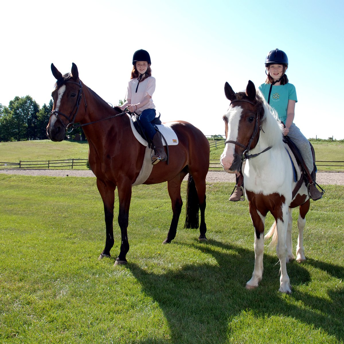 Whitchurch Riding Academy