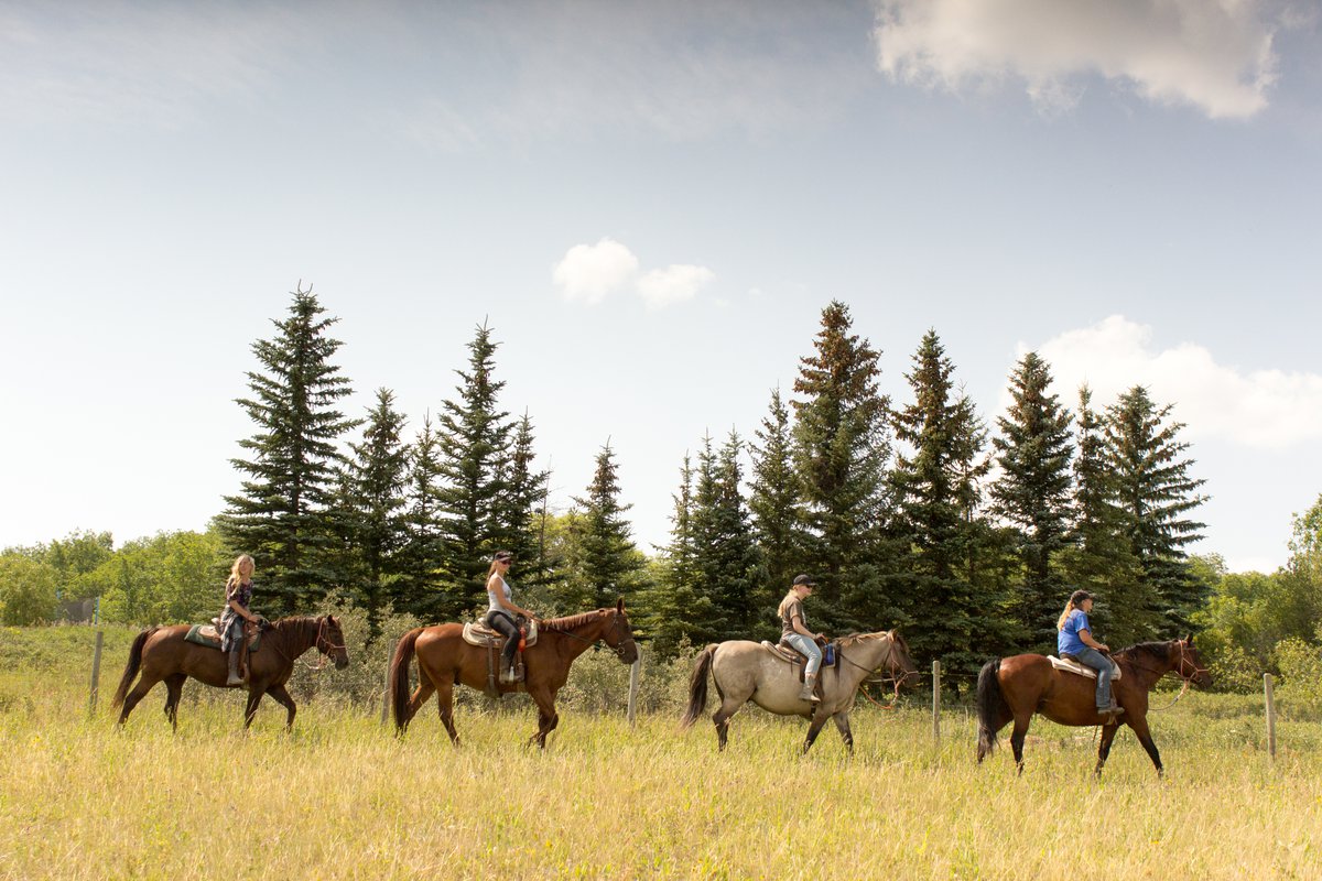 Dallas Valley Ranch Camp