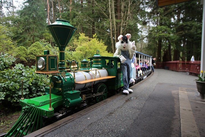 Birthday Train Stanley Park Railway