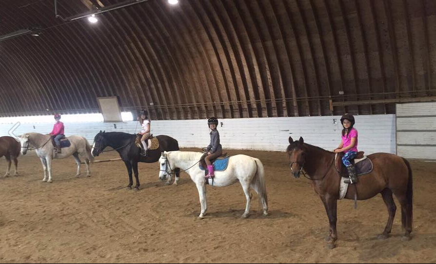 Meadow Green Stables