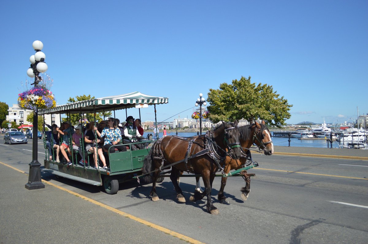 Victoria Carriage Tours