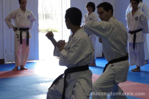Washington Karate