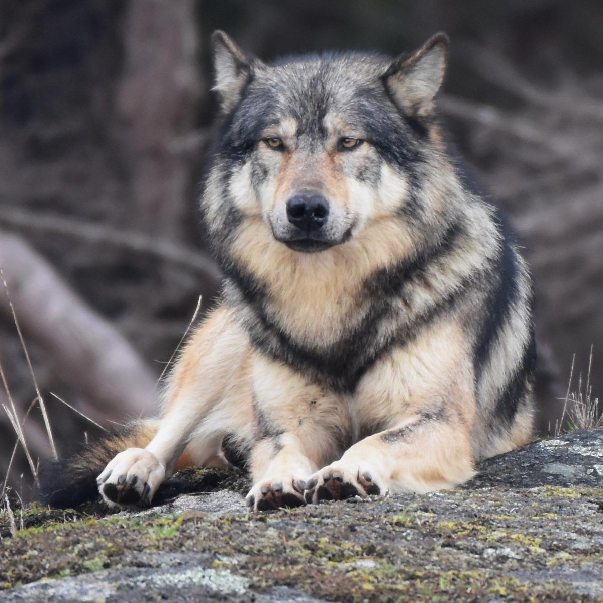 Photos in Nature by Nancy