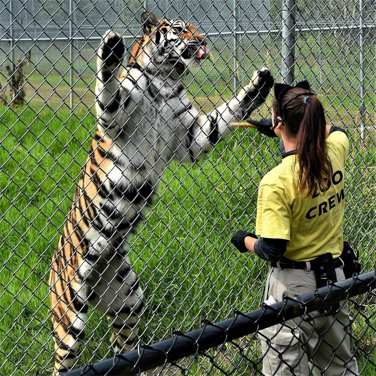 Greater Vancouver Zoo