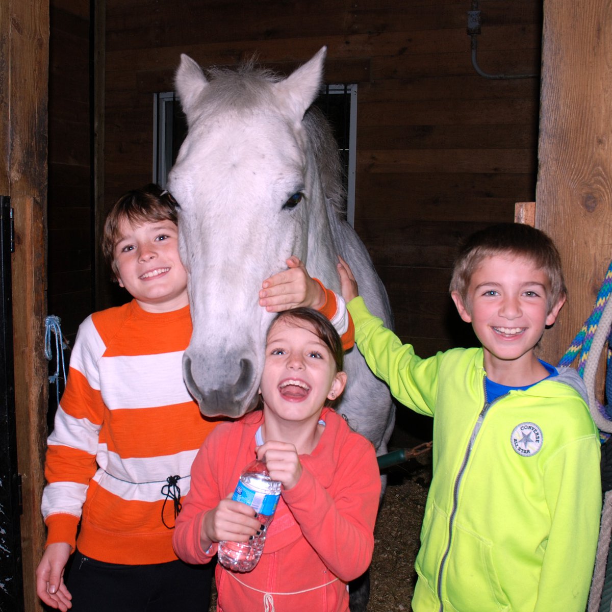 Whitchurch Riding Academy