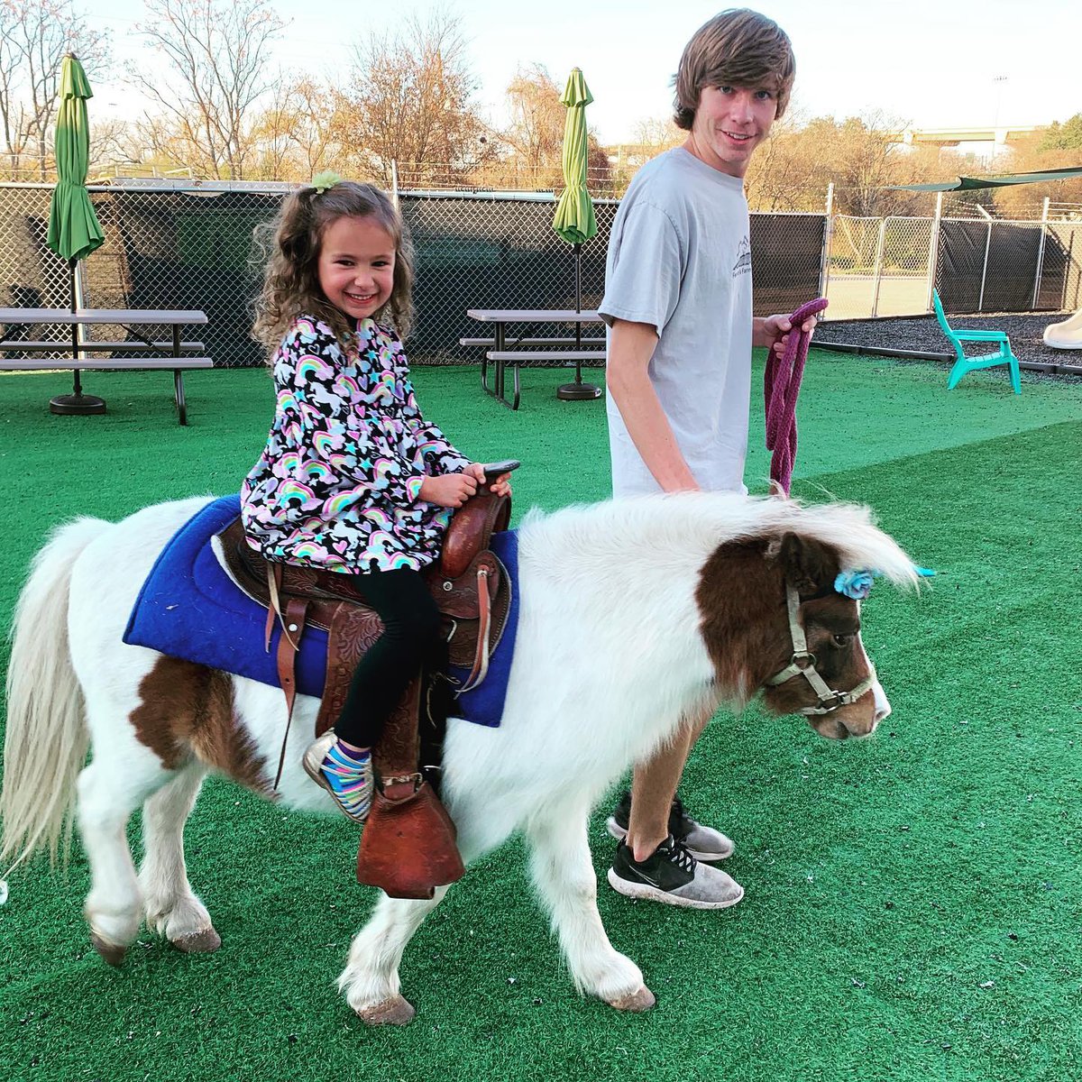 Little Land Play Gym