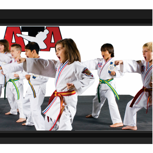 Master Cho's Tae Kwon Do