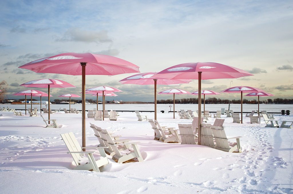 15 Free (or Really Cheap) Kids Activities in Toronto This Winter
