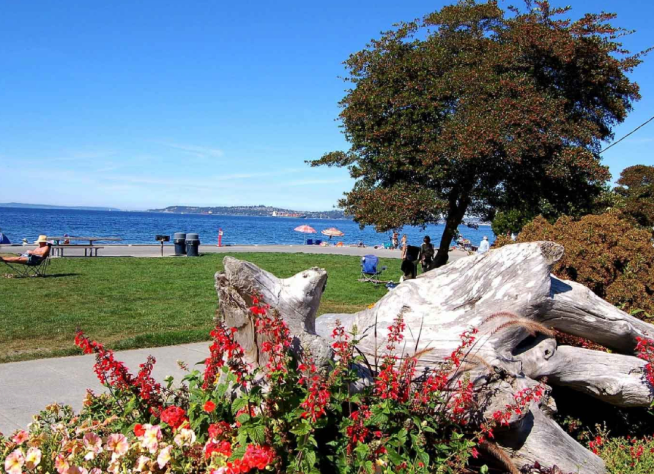 Best Beaches in Seattle