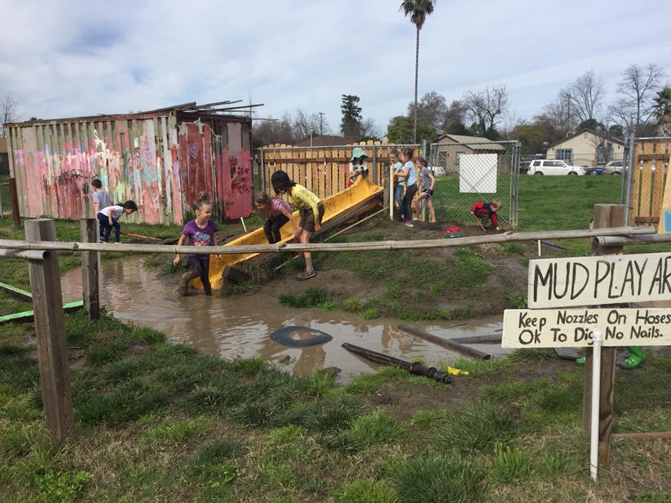 The Best Playgrounds and Parks in Sacramento